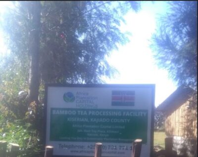 AFRICA PLANTATION CAPITAL BAMBOO TEA FACILITY IN KENYA Africa ...